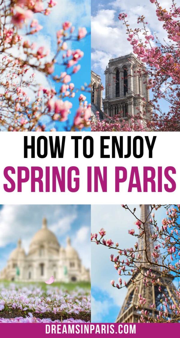 Spring in Paris: The Ultimate Guide to Visiting Paris in Spring