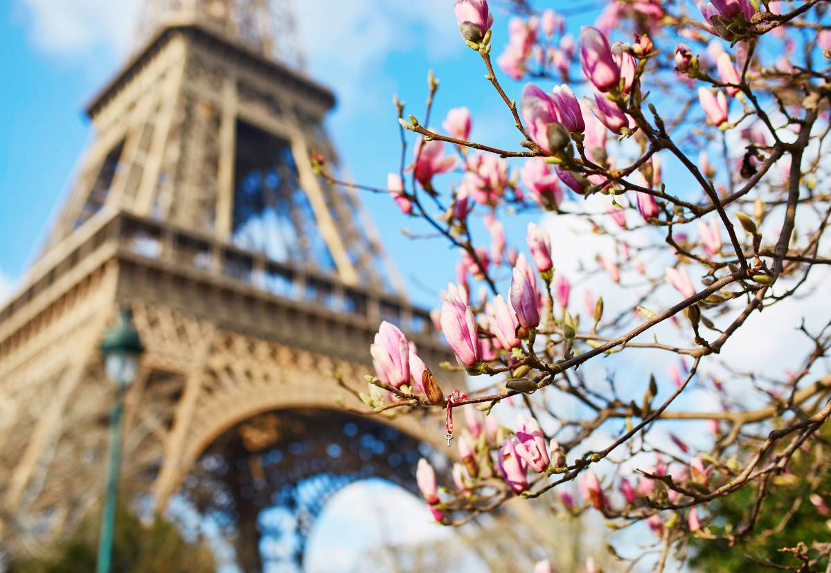 9 Best Things To Do in Paris in April in 2025+ The Weather, Where to ...