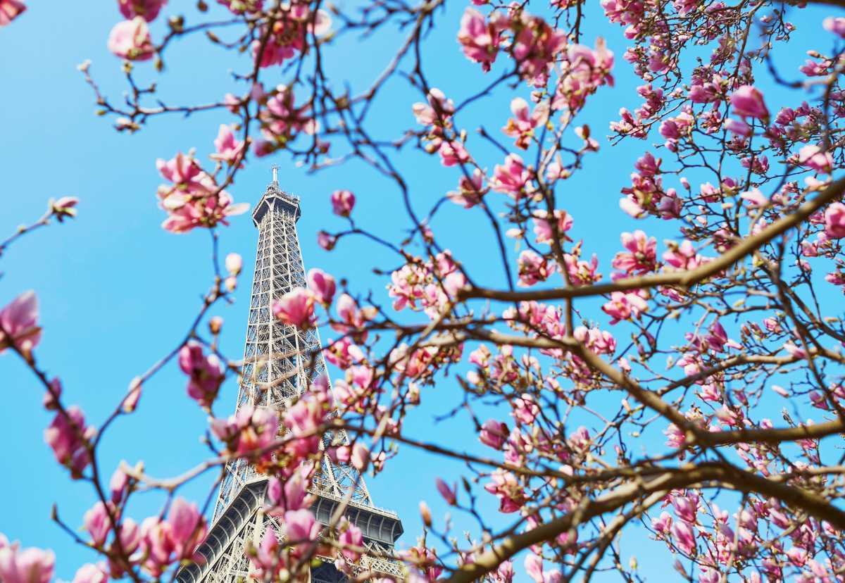 Spring in Paris: The Ultimate Guide to Visiting Paris in Spring