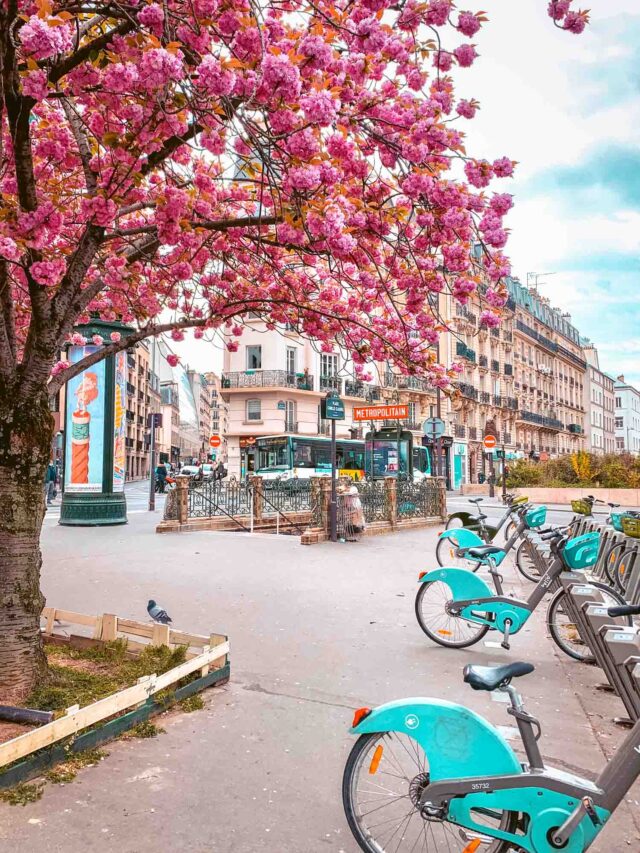 9 Best Things To Do in Paris in April in 2025+ The Weather, Where to ...