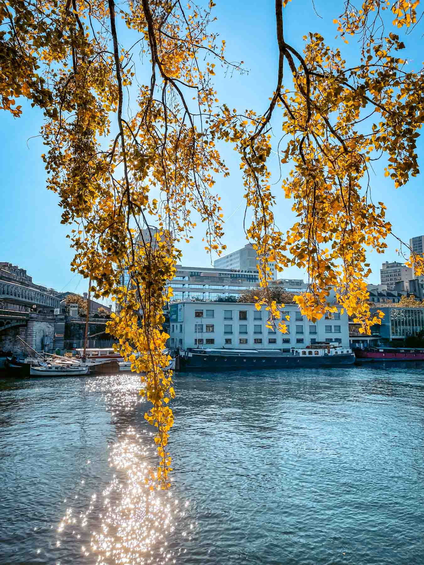 12 Best Things To Do In Paris in Fall In 2025 (+The Weather, Where To ...