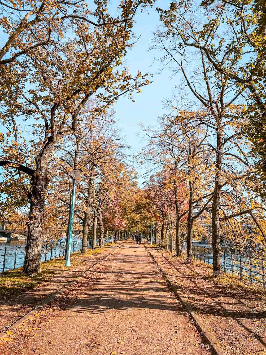 13 Best Things To Do In Paris in the Fall In 2025 (+The Weather, Where ...