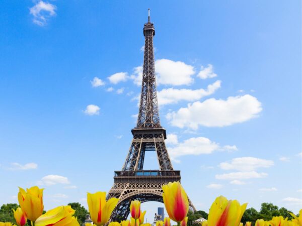 11 Interesting Nicknames for France You Probably Didn't know - Dreams ...