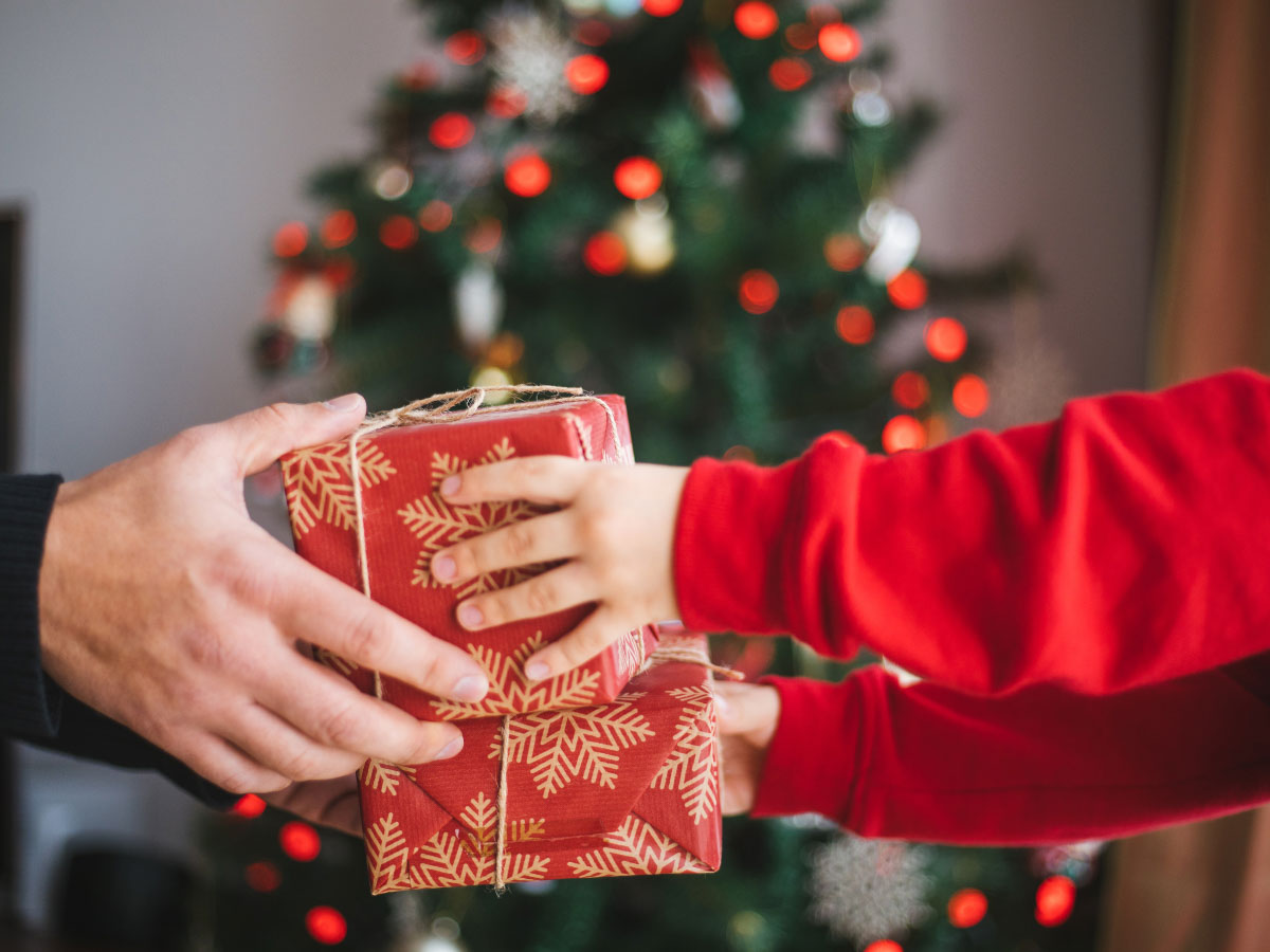 17 Interesting French Christmas Traditions You Should Know - Dreams in ...